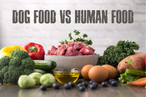 Dog Food vs Human Food: What's the Real Difference? – Raw Bistro